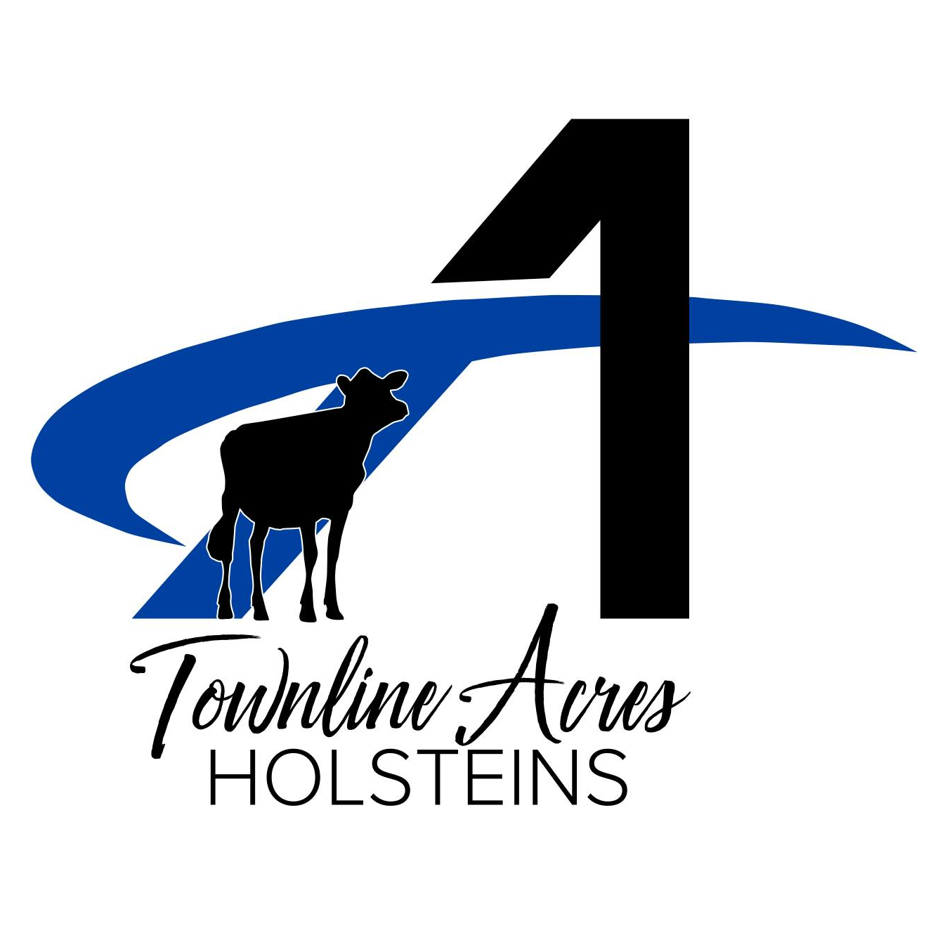 Holstein Marketplace Sires